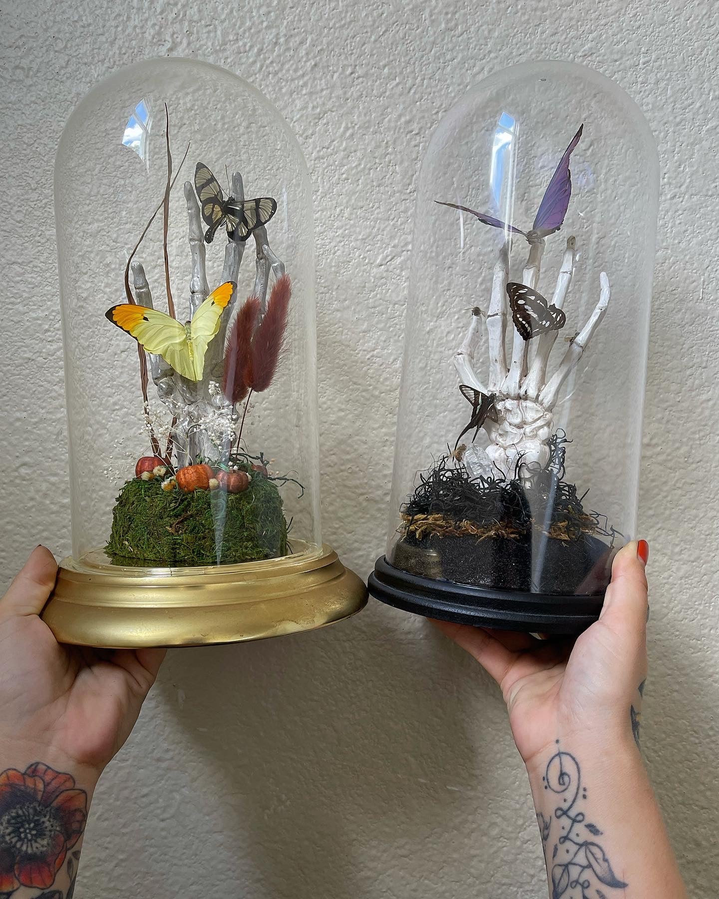 Cloche Displays & Mantle Pieces – Insect Mother