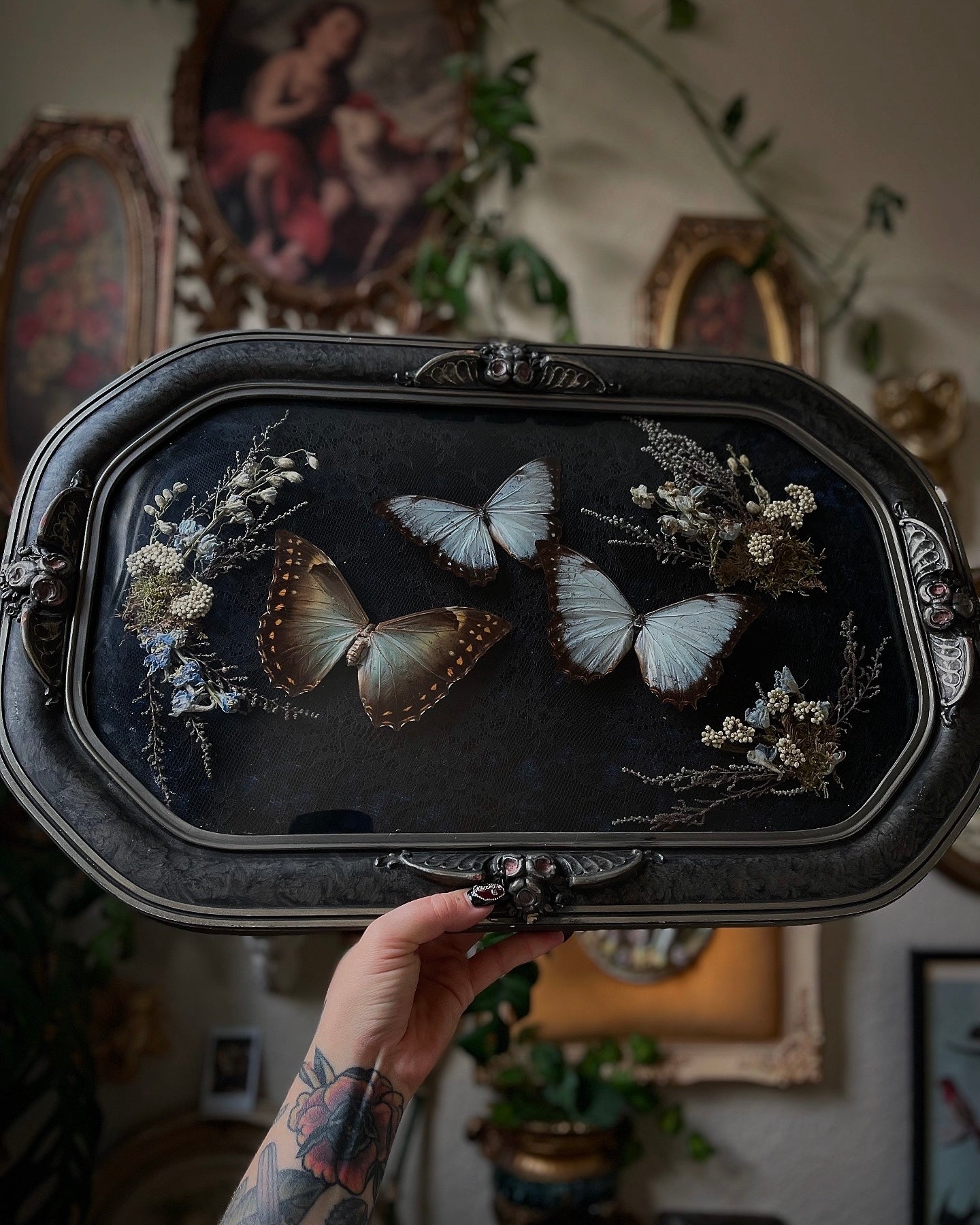 Theseus – Insect Mother
