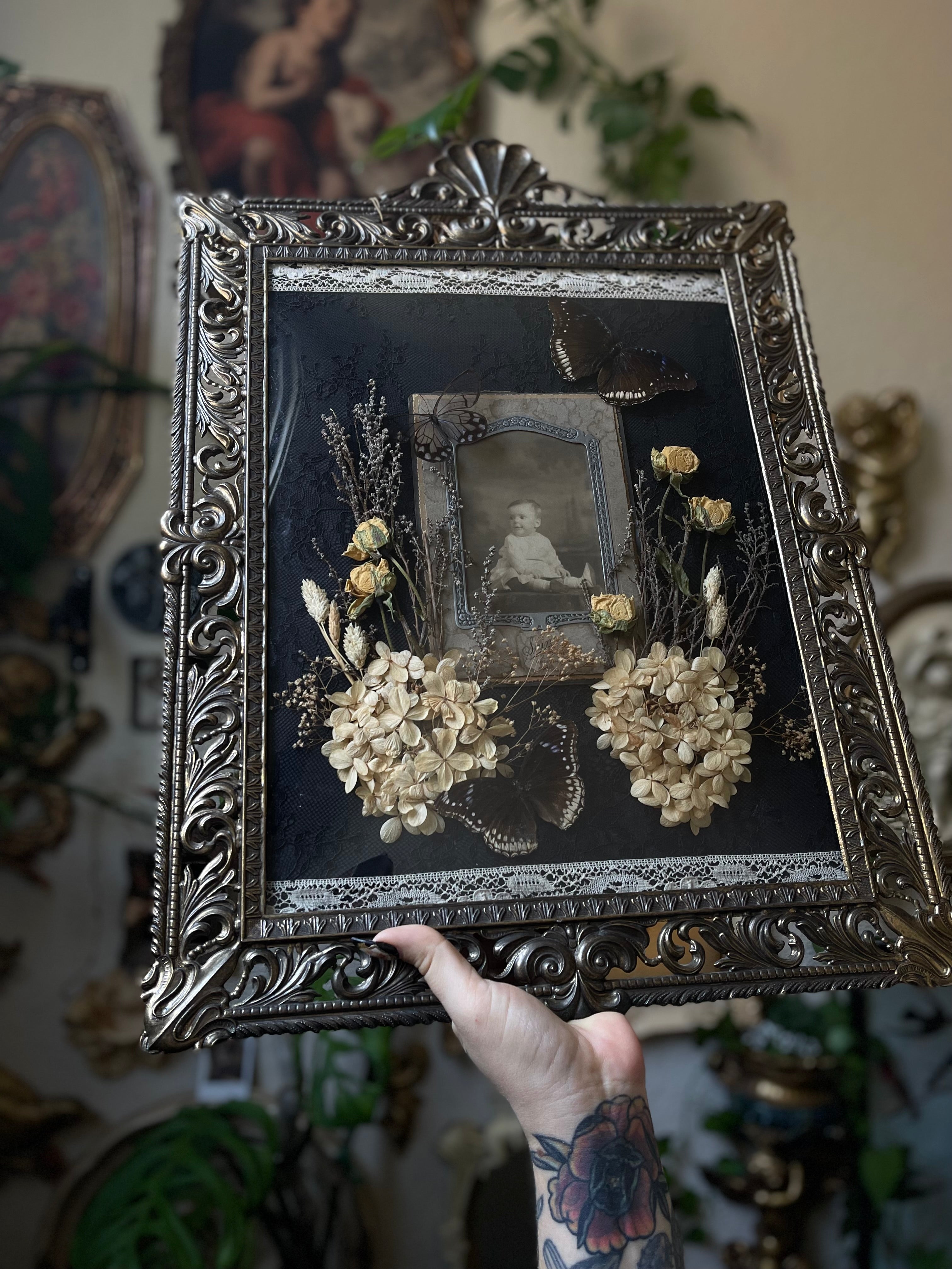 Rose Gardens – Insect Mother